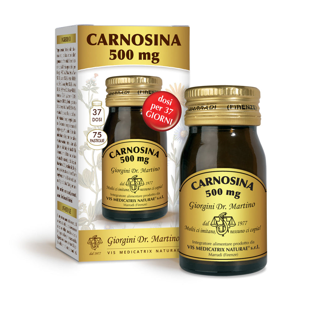 Dr Giorgini Carnosine 500 mg - 30 g - 400 mg tablets – Qathu